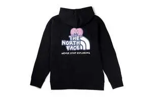 The North Face Graphic Hoodie