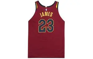 Nike Lebron James Cleveland Cavaliers Icon Edition Authentic Jersey