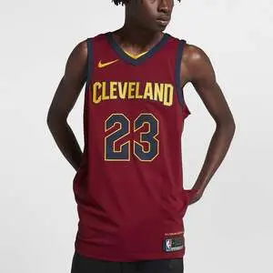 Nike Lebron James Cleveland Cavaliers Icon Edition Authentic Jersey
