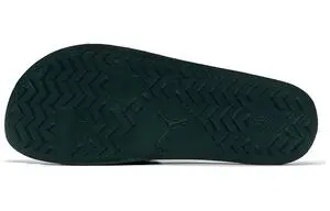 PUMA Leadcat Slides