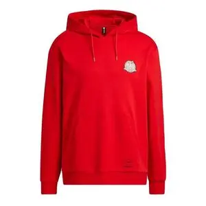 Adidas Neo Graphic Hoodie