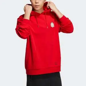 Adidas Neo Graphic Hoodie