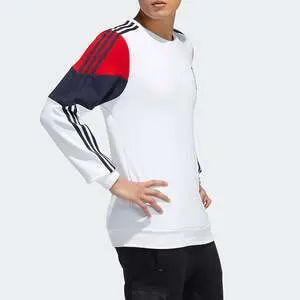 Adidas Color Block Pullover With Graphic Detail
