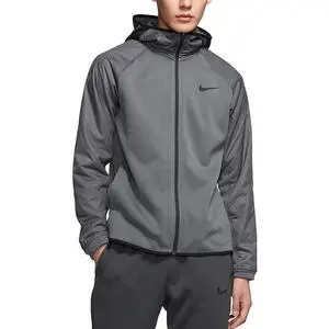 Nike Therma Logo Hoodie