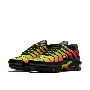 Nike Max Plus Sneakers - Multi-color