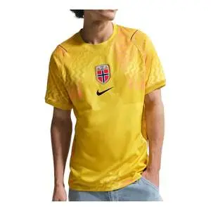 Nike Norway 2026 Stadium Goalkeeper Dri-fit Replica Jersey 'lightning Black - Lightning/black