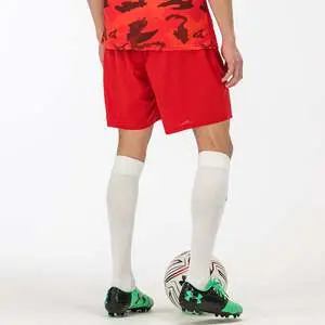 Under Armour Launch 7 Shorts - Red