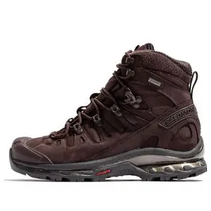 SALOMON Quest Gtx Advanced Boots - Brown