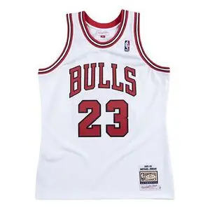 Mitchell & Ness Michael Jordan Chicago Bulls 1995-96 Authentic Jersey - Default Colorway