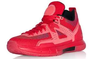 LI-NING Way Of Wade 5 "coming Home