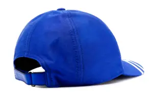 Gucci 100 Baseball Cap