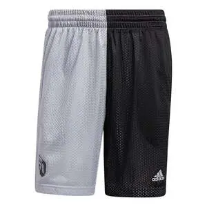 Adidas Dame Vis Basketball Colorblock Shorts - Blackgray
