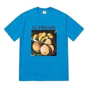 Supreme Fw18 Still Life Tee Bright Printing Short Sleeve - Blue