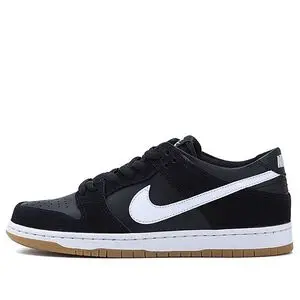 Nike Zoom Sb Dunk Low Pro