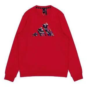 Adidas Cny Graphic Logo Print Sweatshirt