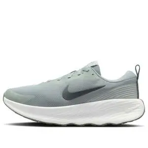 Nike Nike Promina Sneakers Grey/white