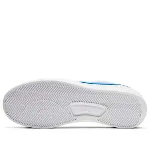 Nike Adversary Sb Sneakers - White/blue
