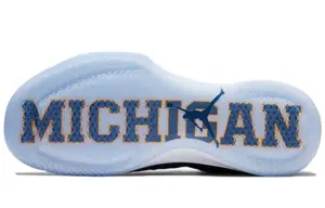 JORDAN Air 31 Low "michigan" Sneakers - Blue