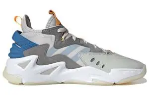 Adidas Blazeon Low Top Sneakers - Grey/blue