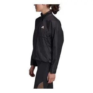 Adidas Back To Sport Lite Insulated Jacket