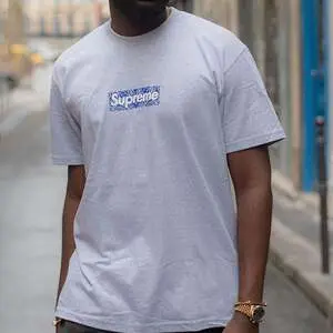 Supreme Fw19 Week 17 Bandana Box Logo Tee Cashew Short Sleeve Gray - Grey