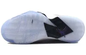 JORDAN True Flight Sneakers - Wolf Grey/purple