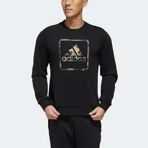 Adidas Graphic Logo Sweatshirt