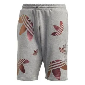 Adidas Originals Big Trefoil Logo Shorts - Grey