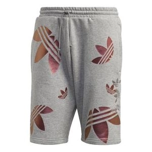 Adidas Originals Big Trefoil Logo Shorts - Grey