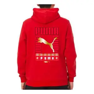 PUMA Series Back Printing Sports Pullover