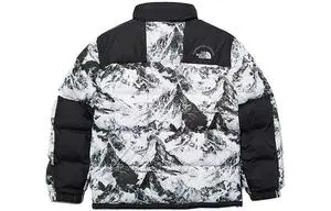 The North Face Fw22 Down Jacket