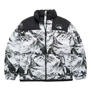 The North Face Fw22 Down Jacket - None