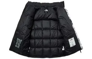 The North Face Fw22 Down Jacket