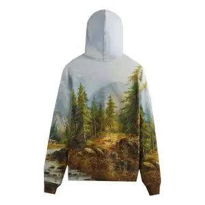 Kith Alpine Nelson Hoodie 'terrain