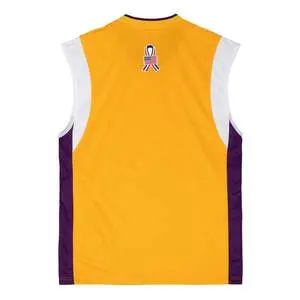 Mitchell & Ness X Nba Los Angeles Lakers 2001-02 Shooting Jersey