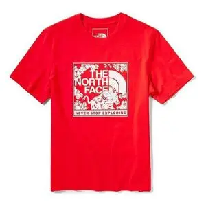 The North Face Box Celebration T-shirt