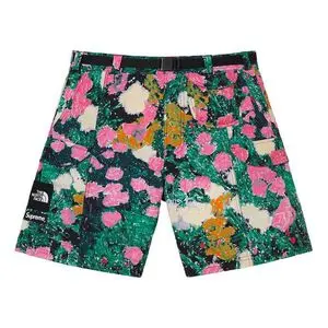 Supreme X The North Face Trekking Packable Belted Short