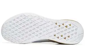 ANTA Champion Sports Culture Sneakers
