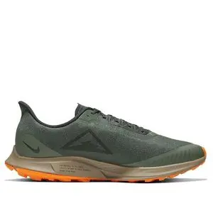 Nike Zoom Pegasus 36 Trail Gore-tex - Blue