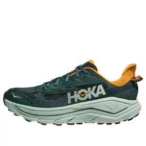 Hoka One One Challenger Trail Running Shoes - Bay Leaf/sage