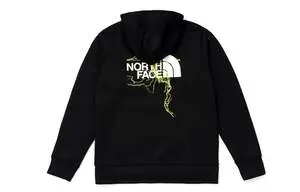 The North Face Pullover Hoodie