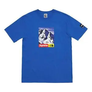 Supreme Fw17 The North Face Mountain Royal Tee - Blue