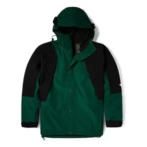 The North Face Retro Mountain Light Futurelight Jacket - Green