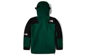 The North Face Retro Mountain Light Futurelight Jacket - Green