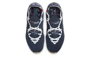 Nike Lebron 17 "uconn" Basketball Sneakers - Blue