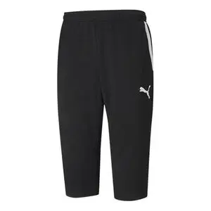 PUMA Team Liga Performance Pants - Black