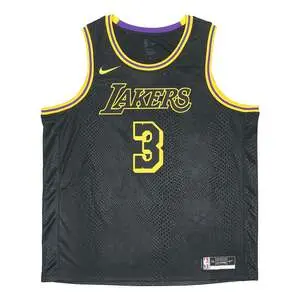 Nike Los Angeles Lakers Anthony Davis #3 Basketball Jersey - Black