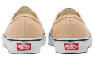 VANS Color Theory Authentic Shoes - Orange