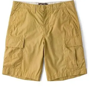 VANS Cargo Relaxed Shorts - Brown