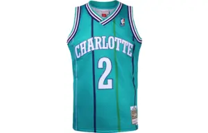 Mitchell & Ness Charlotte Hornets Larry Johnson 1992/93 Nba Swingman Jersey